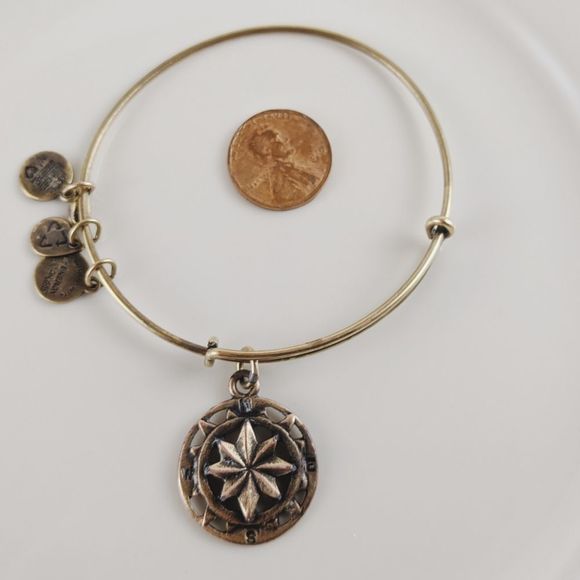 Alex and Ani | Jewelry | Alex Andani Rafaelian Gold Compass ...